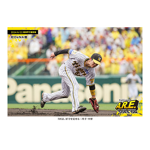 写真（6/22）vs DB No.4 - 阪神タイガース公式オンラインショップ T-SHOP