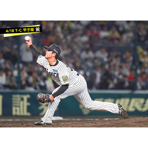 ブロマイド 4/18 T-C 64岡留 - 阪神タイガース公式オンラインショップ T-SHOP