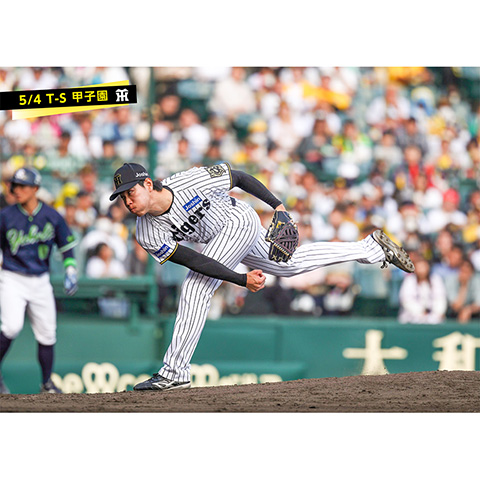 ブロマイド 5/4 T-S 24工藤 - 阪神タイガース公式オンラインショップ T-SHOP