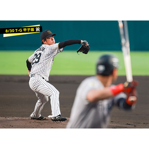 ブロマイド 8/30 T-G No.1 29高橋 - 阪神タイガース公式オンラインショップ T-SHOP